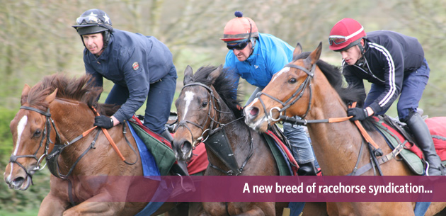 Solario Racing UK - A new breed of racehorse syndication