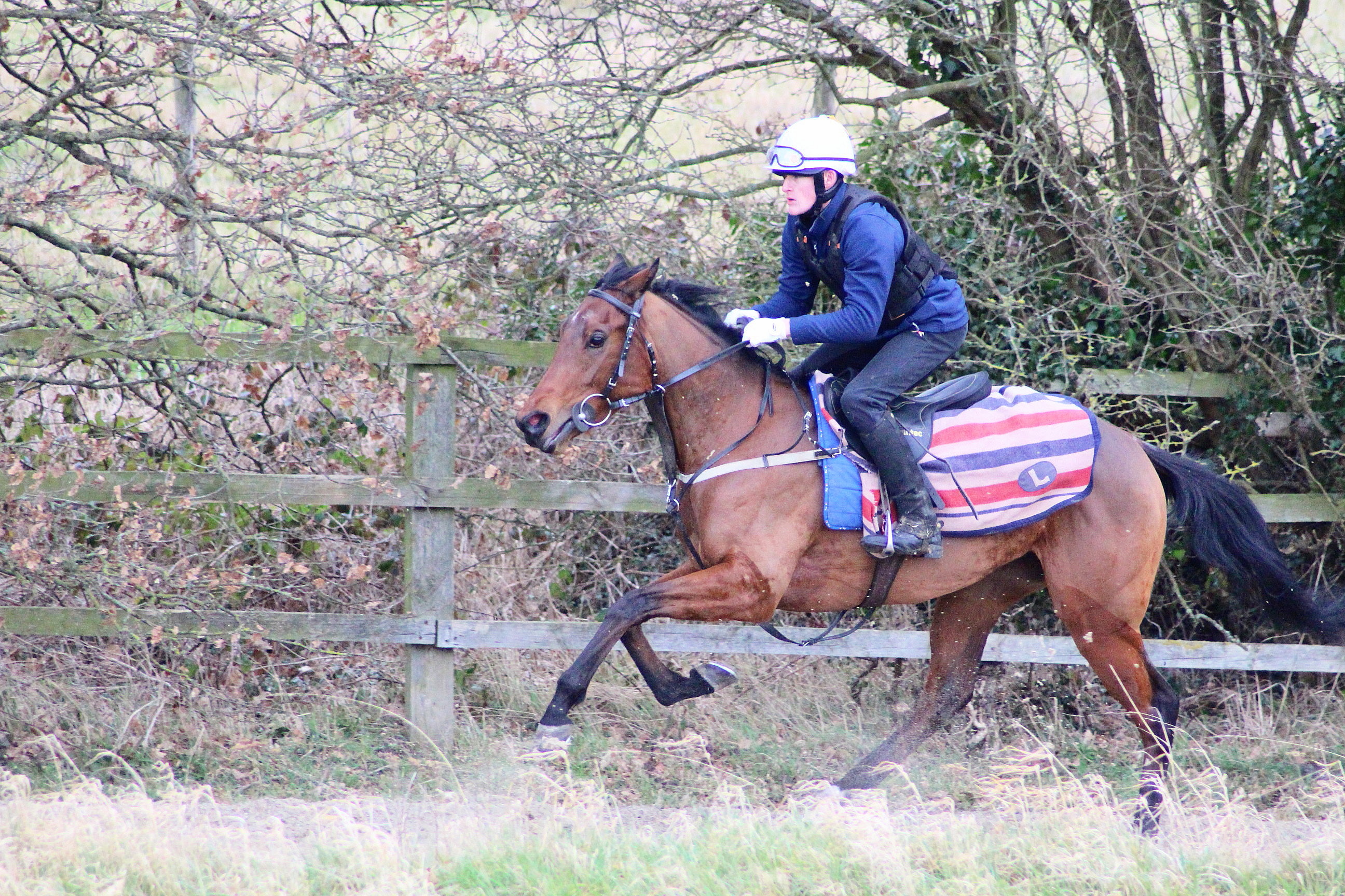 Race Entries - Solario Racing