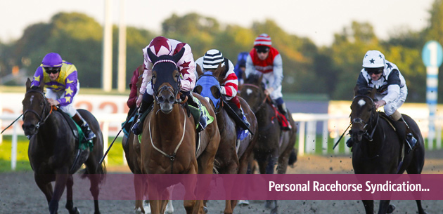 Solario Racing UK - A new breed of racehorse syndication